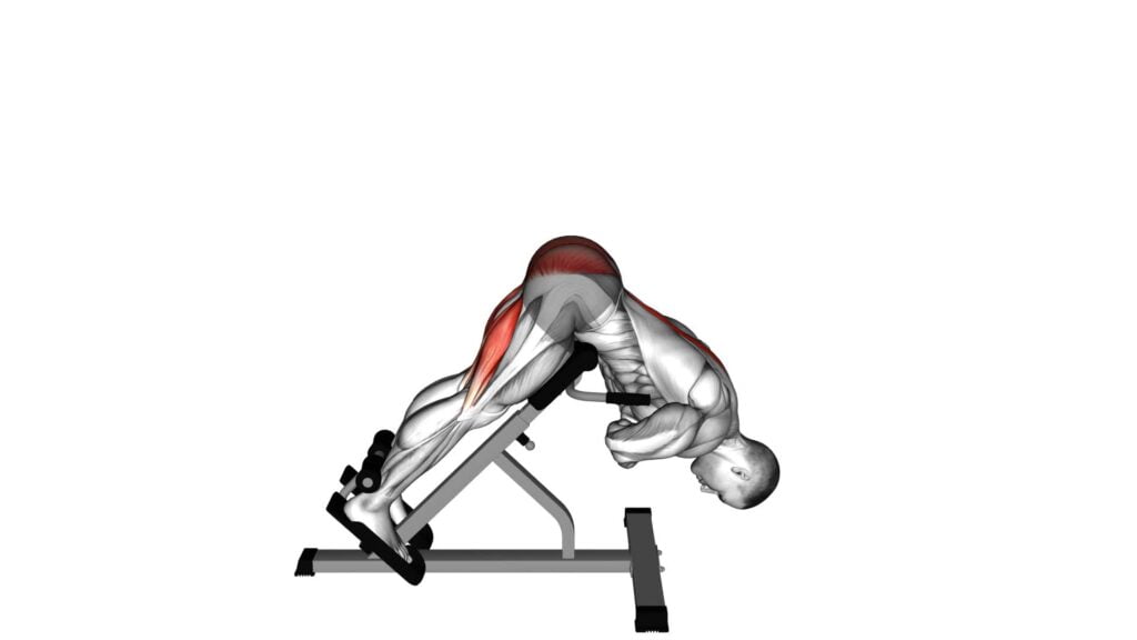 45 Degree Hyperextension Exercise: Arms In Front Of Chest (Male ...