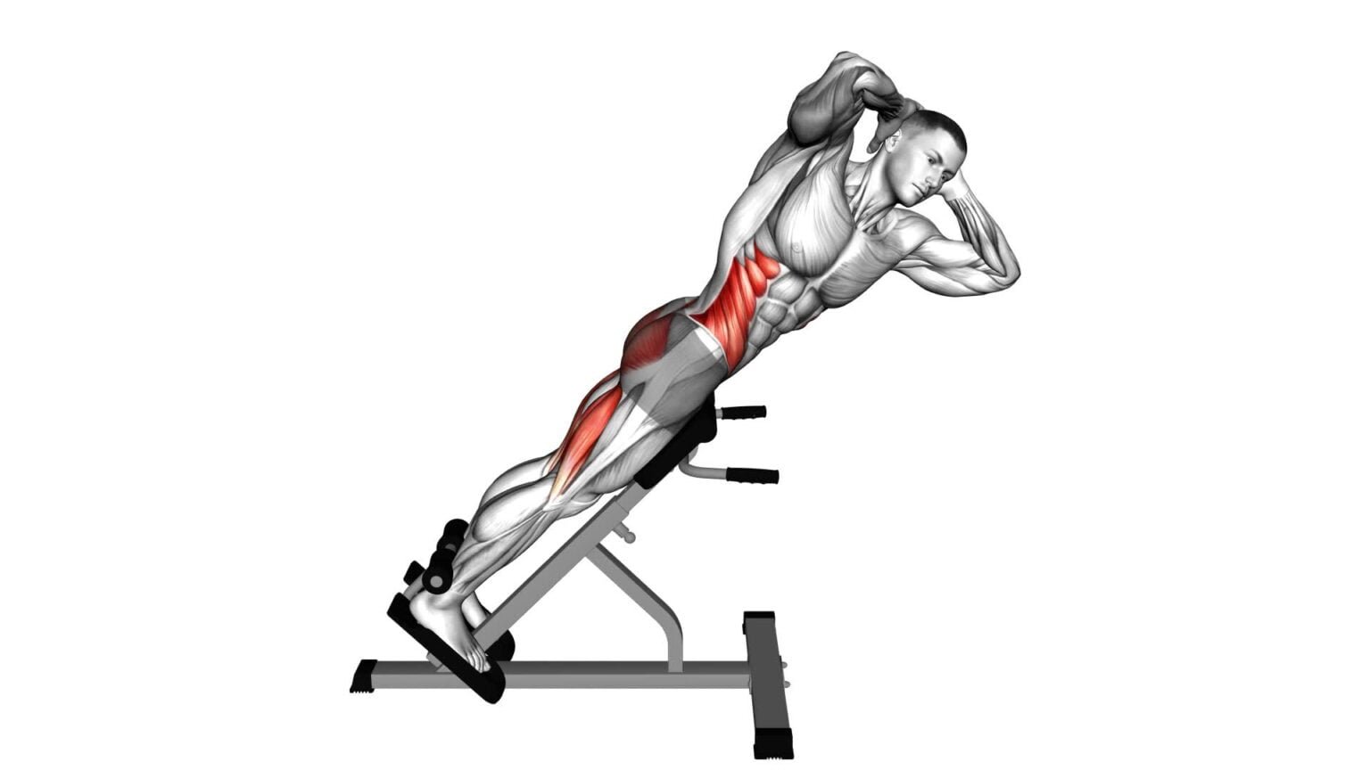 45 Degree Twisting Hyperextension (Male) - Video Guide & Tips