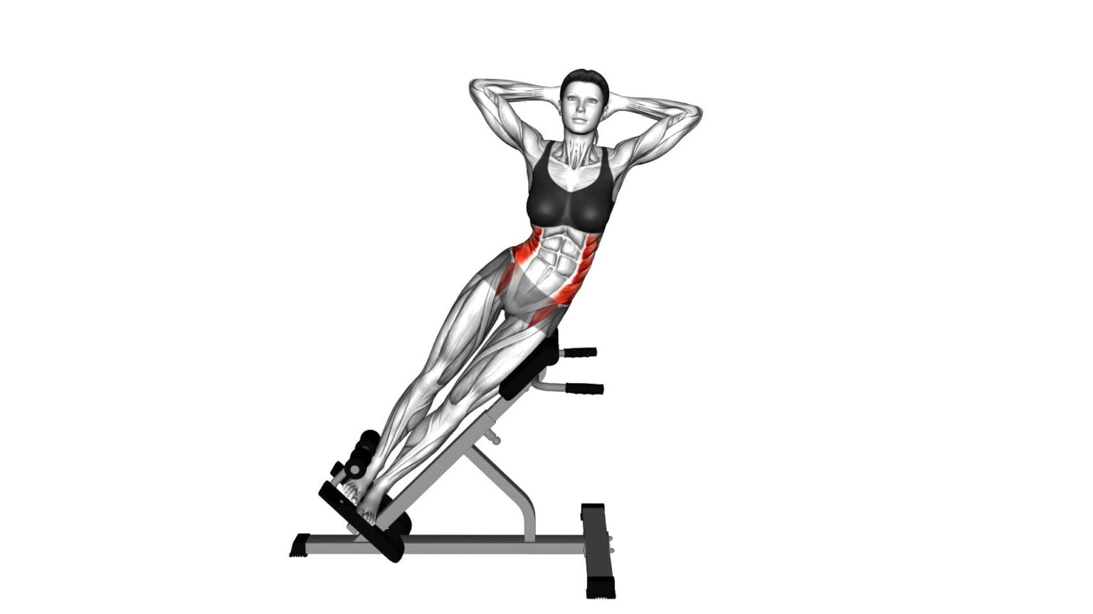 45 Degree Side Bend (Female) - Exercise Guide & Tips