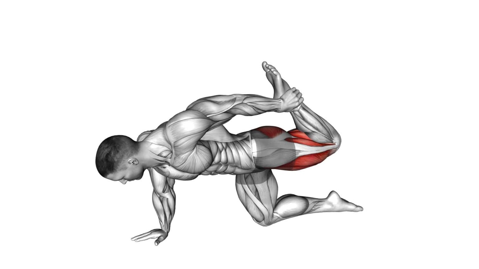 All Fours Squad Stretch - Exercise Guide & Tips