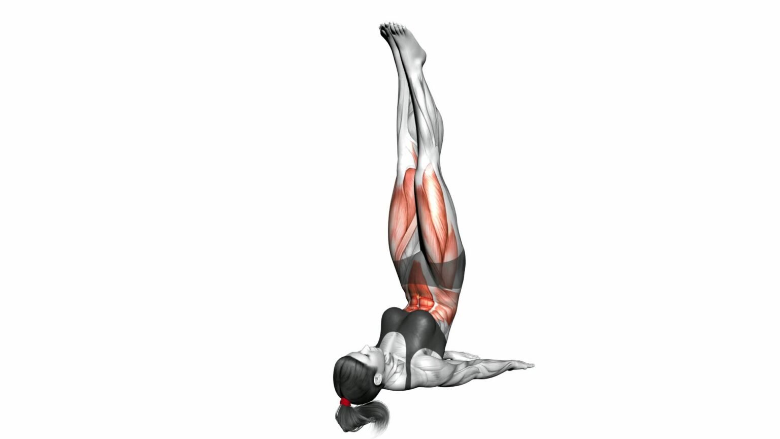 Alternate Lying Floor Leg Raise: Video Guide & Tips