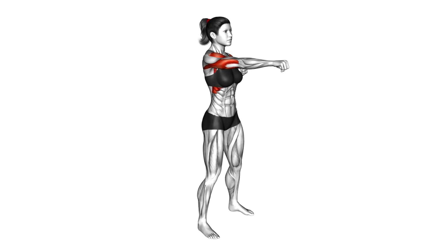 Alternate Punching (female) - Video Guide & Tips For Effective Exercise
