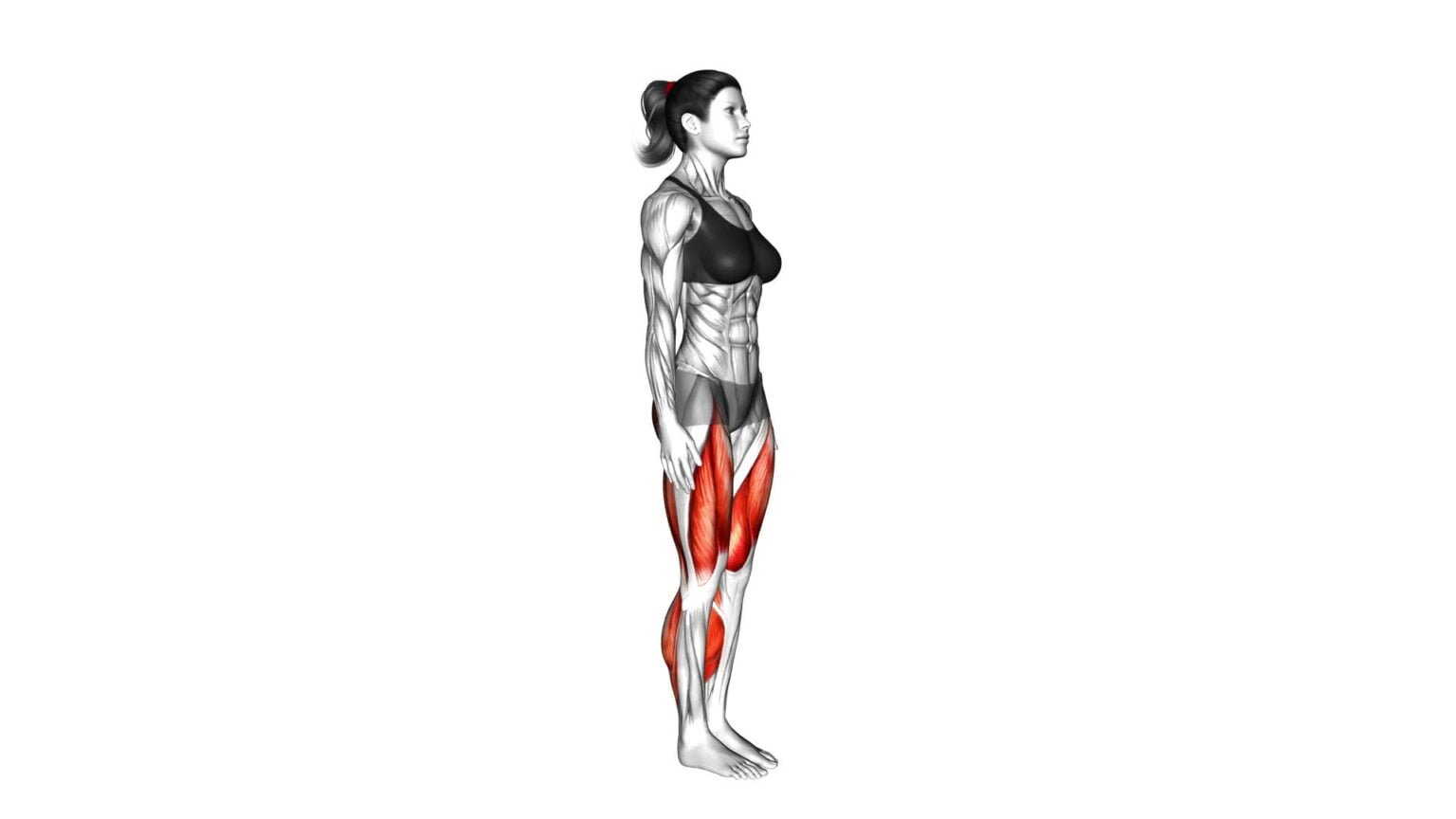 Sprinter Lunge: Ultimate Exercise Guide & Tips [video]