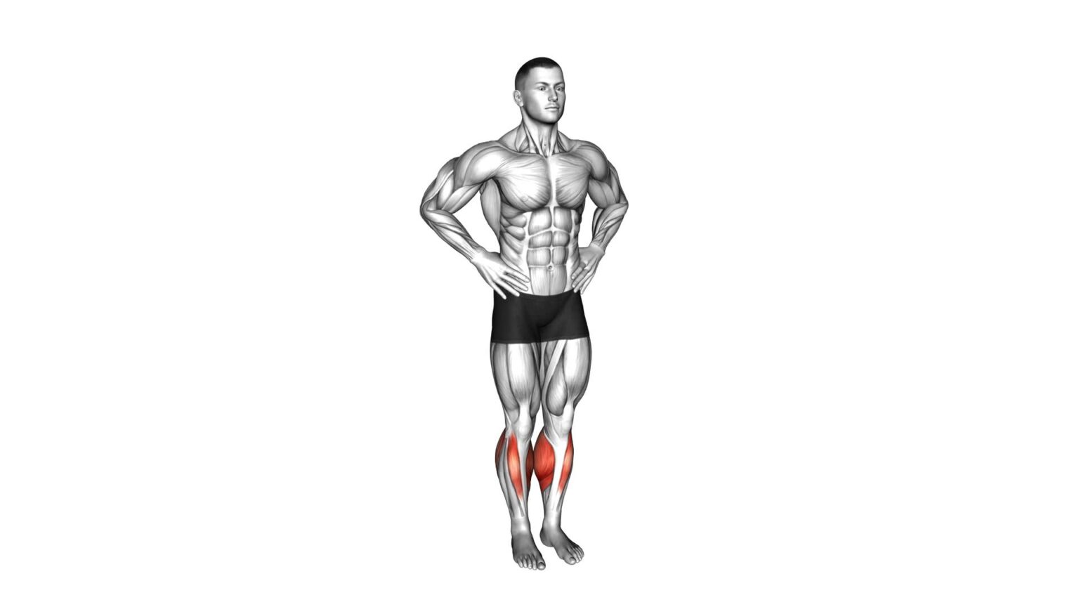 Wrist Circles: Exercise Guide & Tips