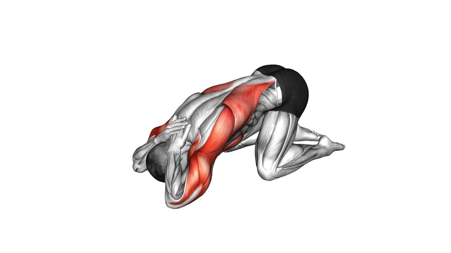 Couch Stretch: Effective Exercise Guide & Tips