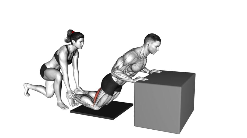 Cable Assisted Inverse Leg Curl (Female) - Exercise Guide & Tips