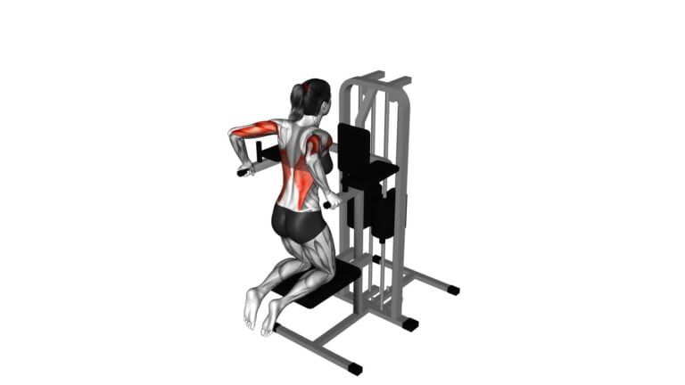 Effective Assisted Triceps Dip (kneeling) For Women - Video Guide & Tips