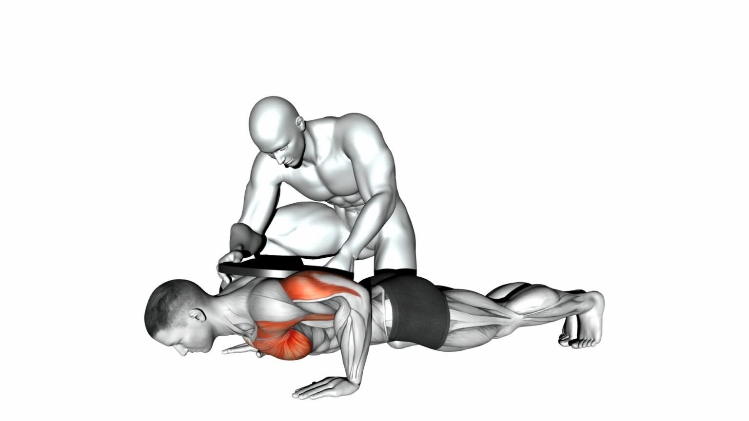 Assisted Weighted Push-up: Ultimate Exercise Guide & Tips