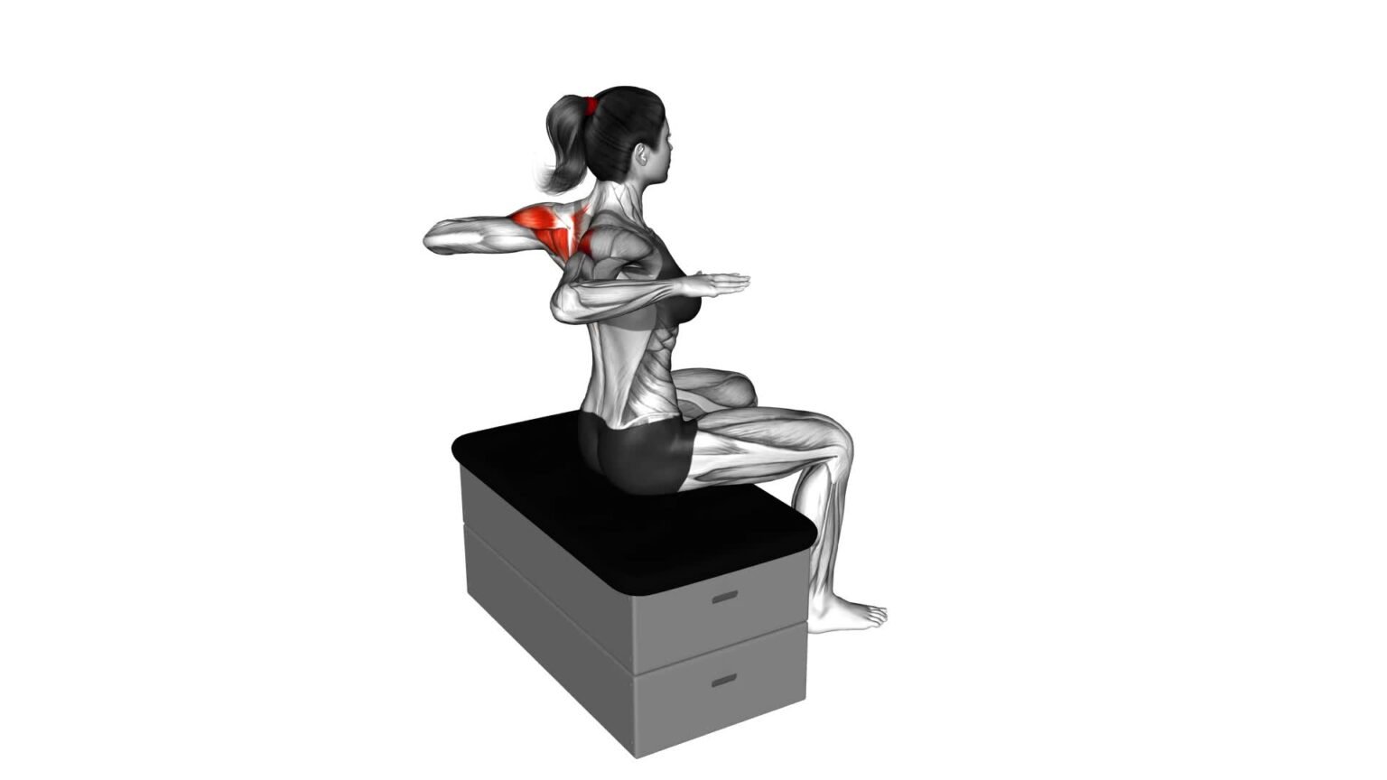 Back Squeeze (female) - Exercise Guide & Tips