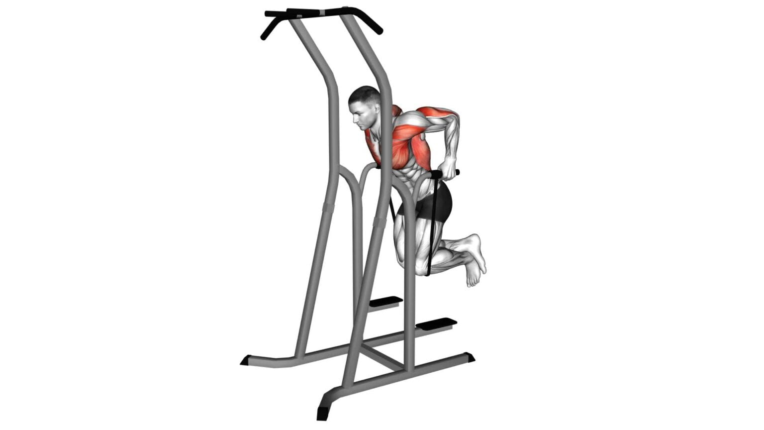 Band Assisted Dip: Ultimate Exercise Guide & Tips