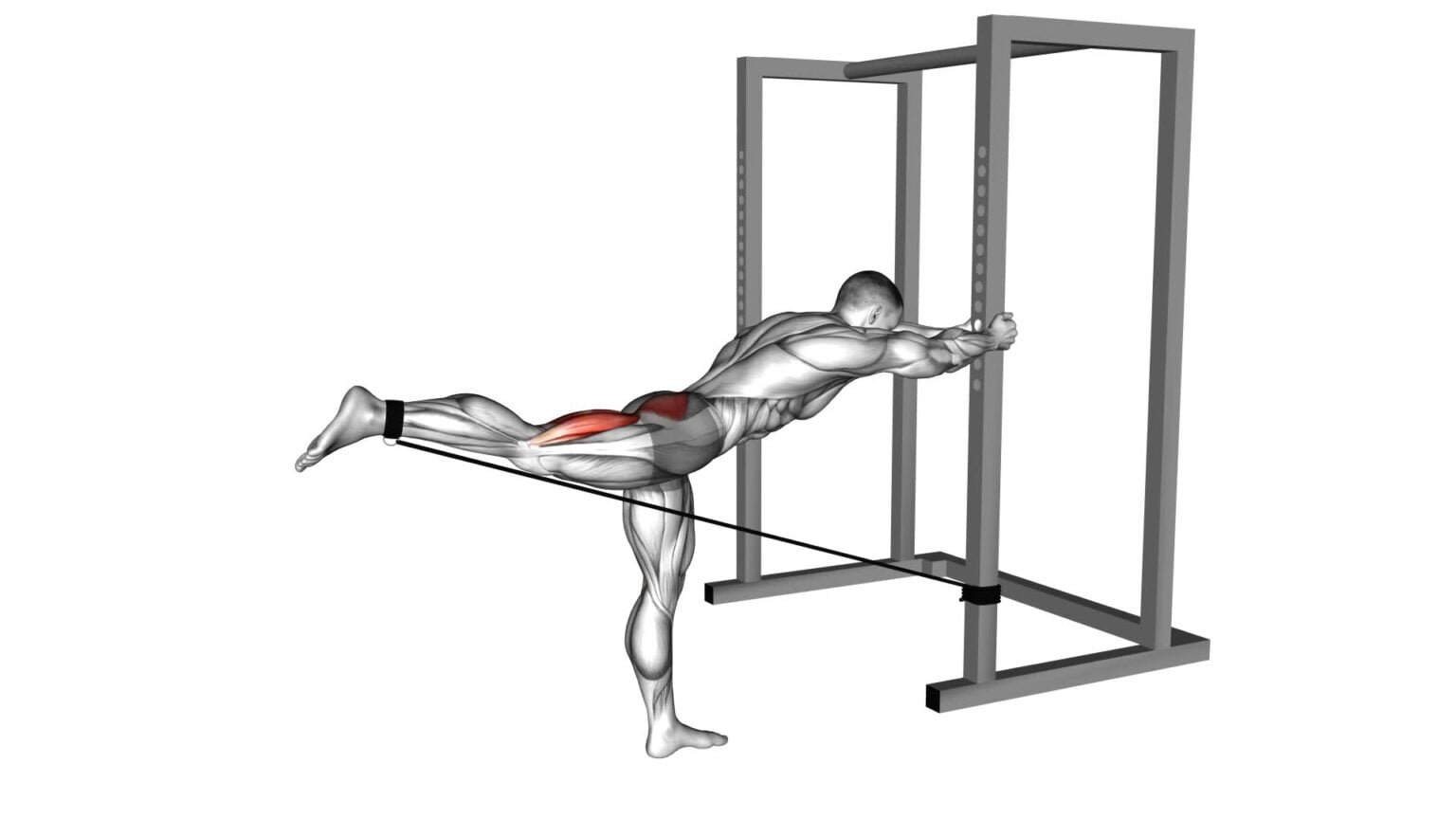 Bent-over Hip Extension Exercise Guide & Tips For Men - Video Tutorial