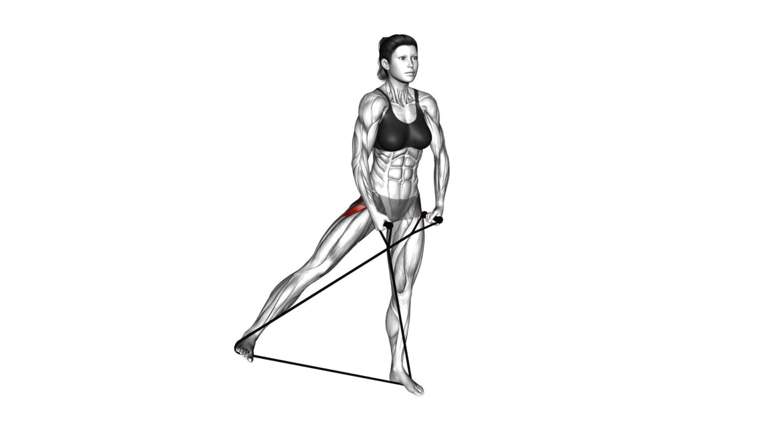 Band Cross Abduction (Female): Ultimate Exercise Guide & Tips
