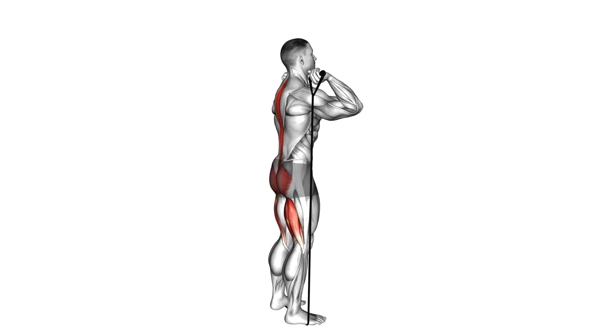 Good Morning Band Exercise: Ultimate Guide & Tips