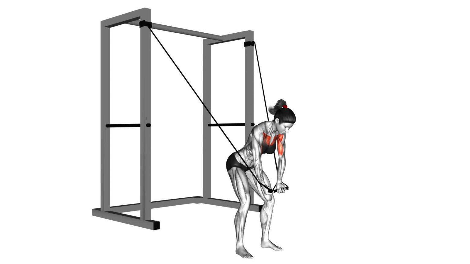 High Fly Band Workout: Expert Tips & Video Guide (female)