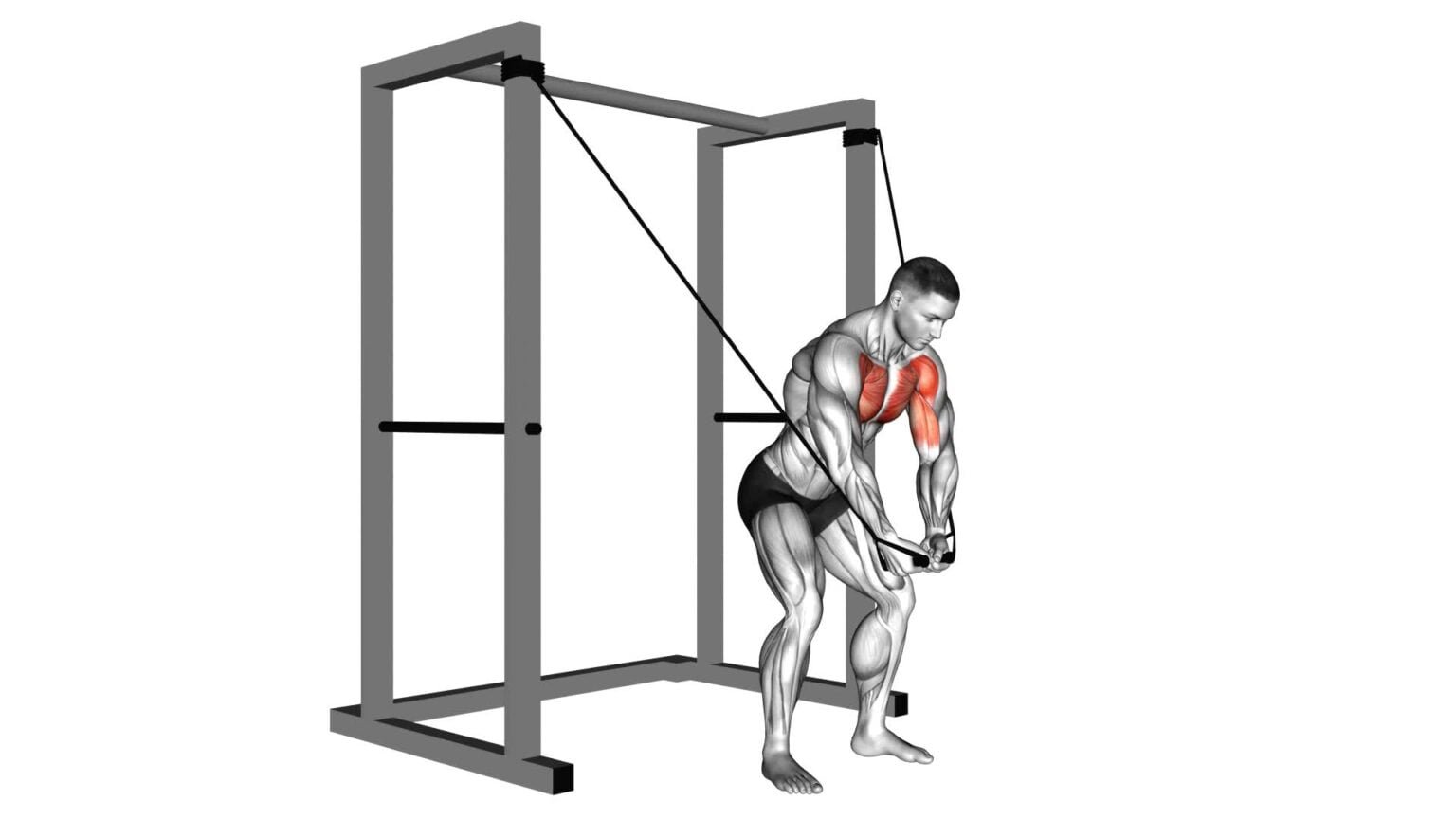 High Fly Band Workout: Expert Tips & Video Guide