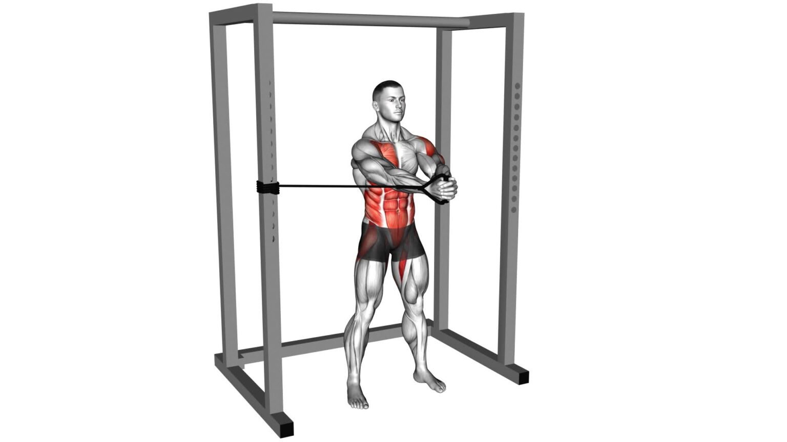 Band Horizontal Pallof Press: Ultimate Guide & Tips