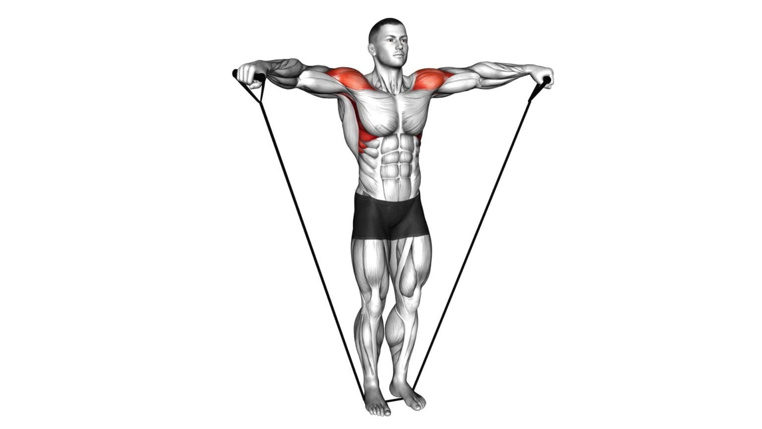 Exercises with Band - Workout Guru