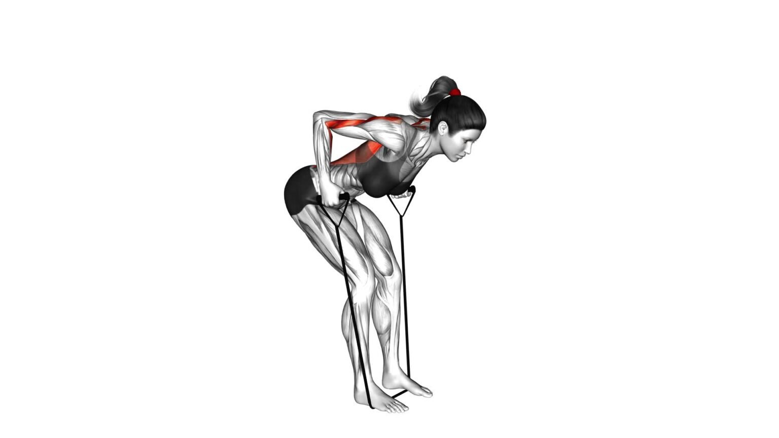 Band Rear Delt Row: Ultimate Guide & Tips