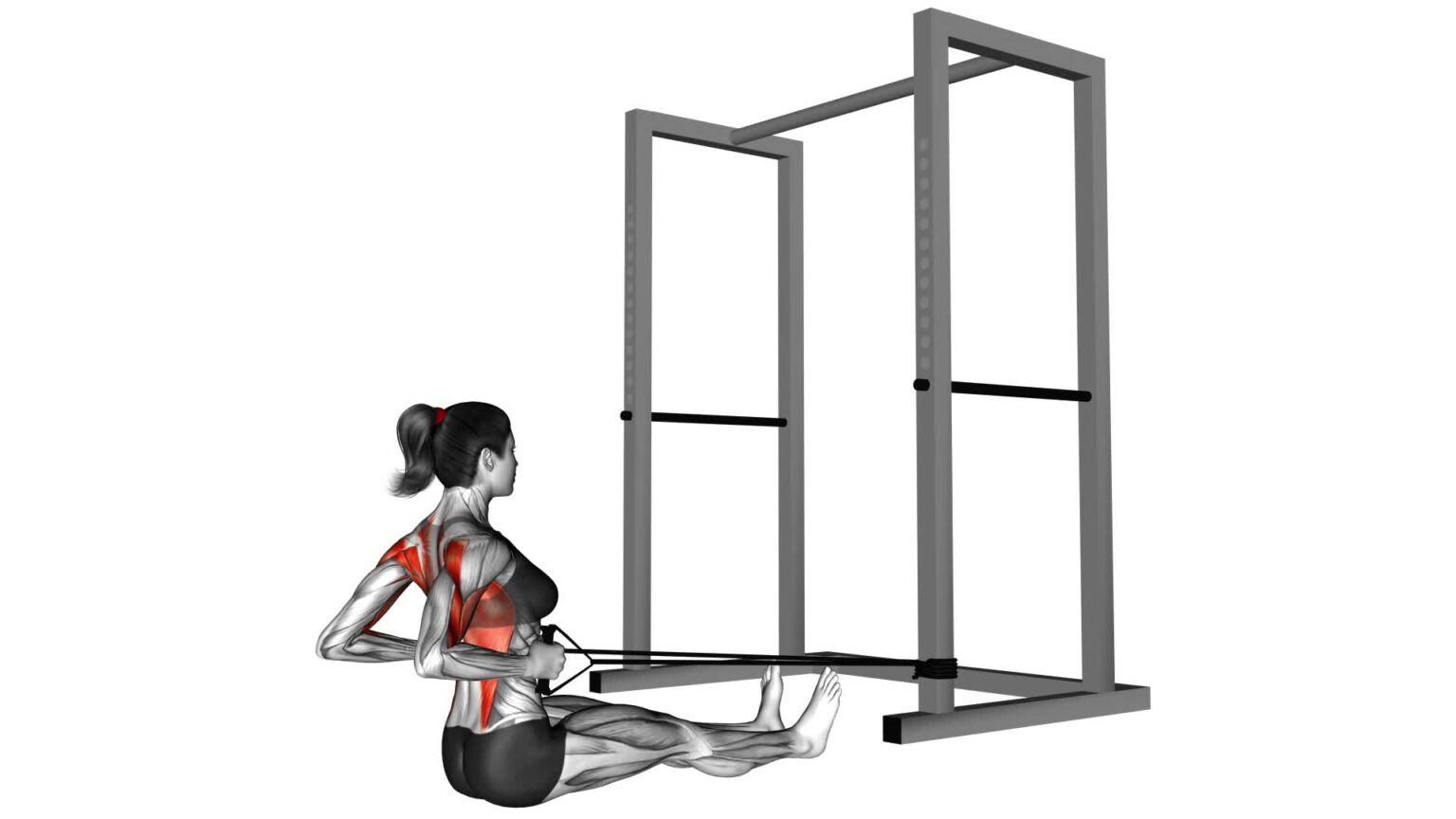 Female Band Seated Row: Video Guide & Tips For Effective Exercise