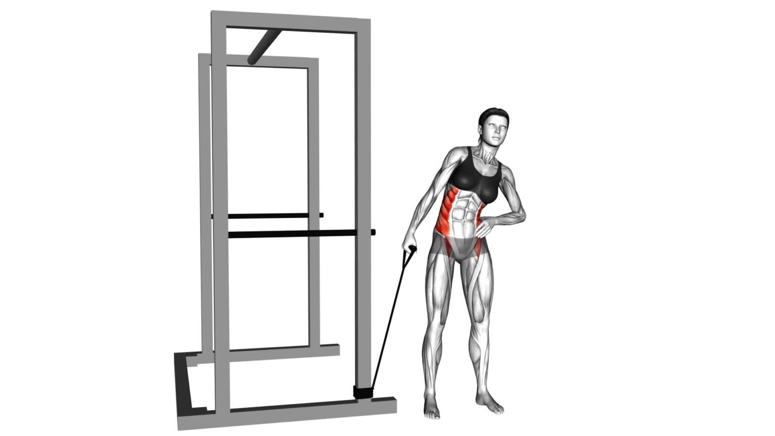 Band Side Bend (female): Ultimate Exercise Guide & Tips