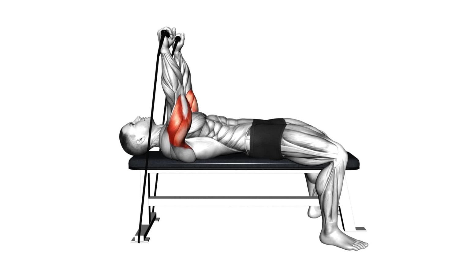 Female Band Lying Reverse Grip Pressdown: Video Guide & Tips