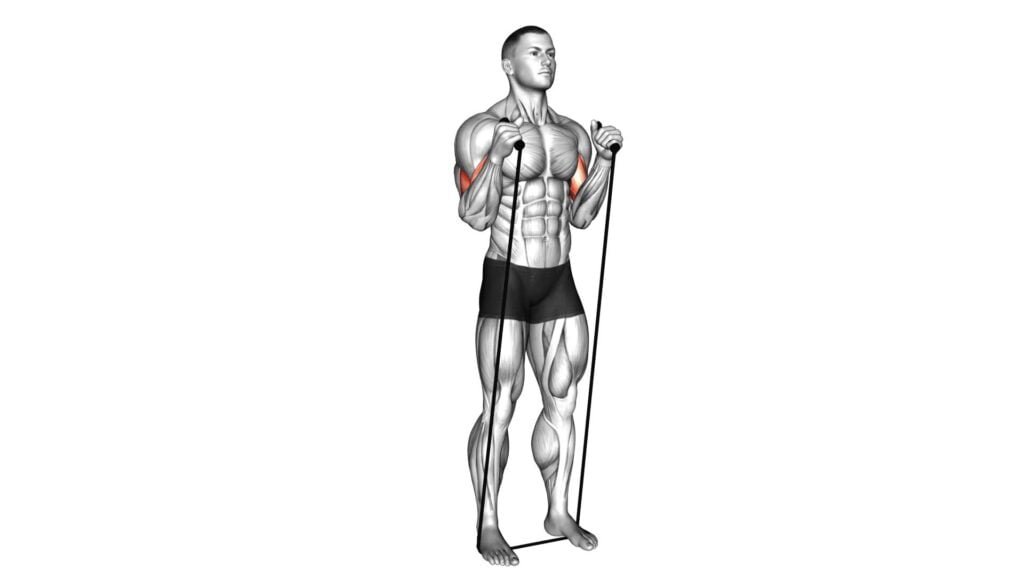 Band Standing Hammer Curl: Ultimate Guide & Tips