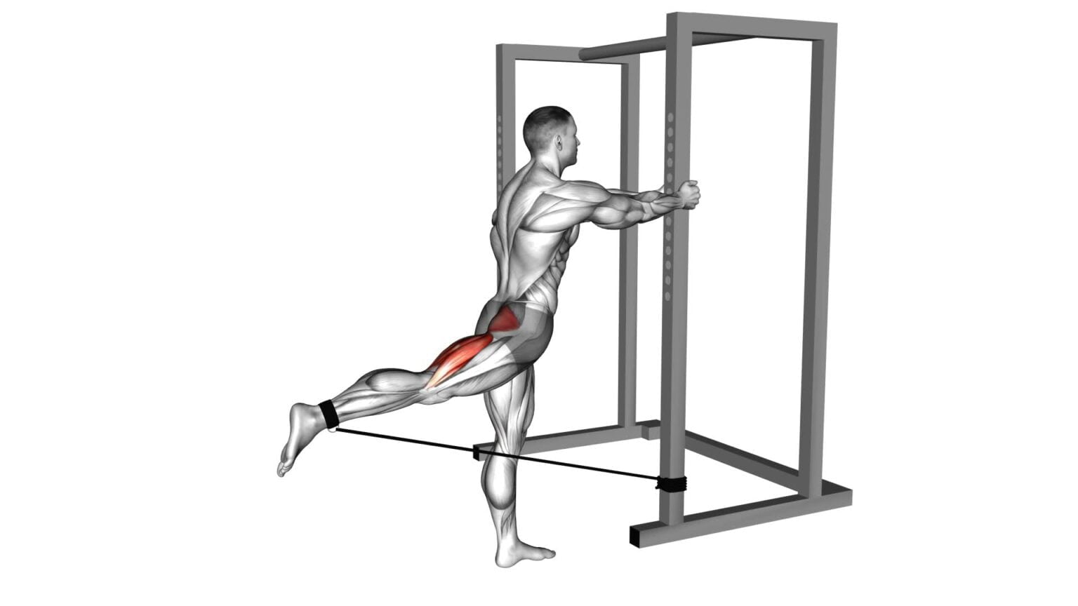 Band Standing Hip Extension (Male): Video Guide & Tips For Stronger Hips