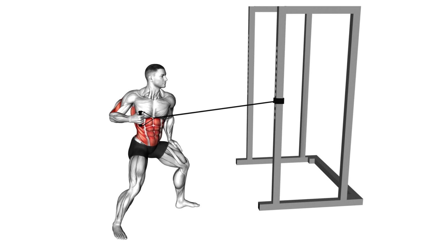 Band Standing Single Arm Twist Row - Exercise Guide & Tips
