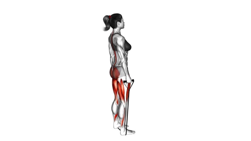 Female Band Straight Back Stiff Leg Deadlift - Video Guide & Tips