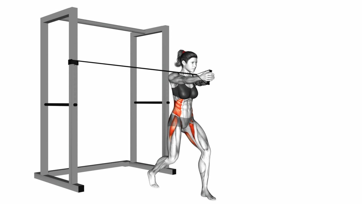 Waist Exercises - Workout Guru