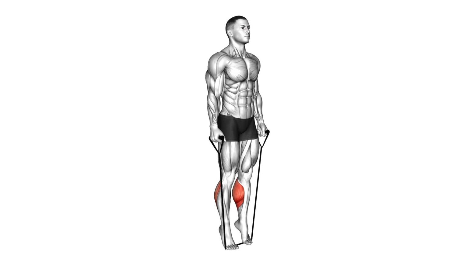 Band Y Raise: Ultimate Video Exercise Guide & Tips