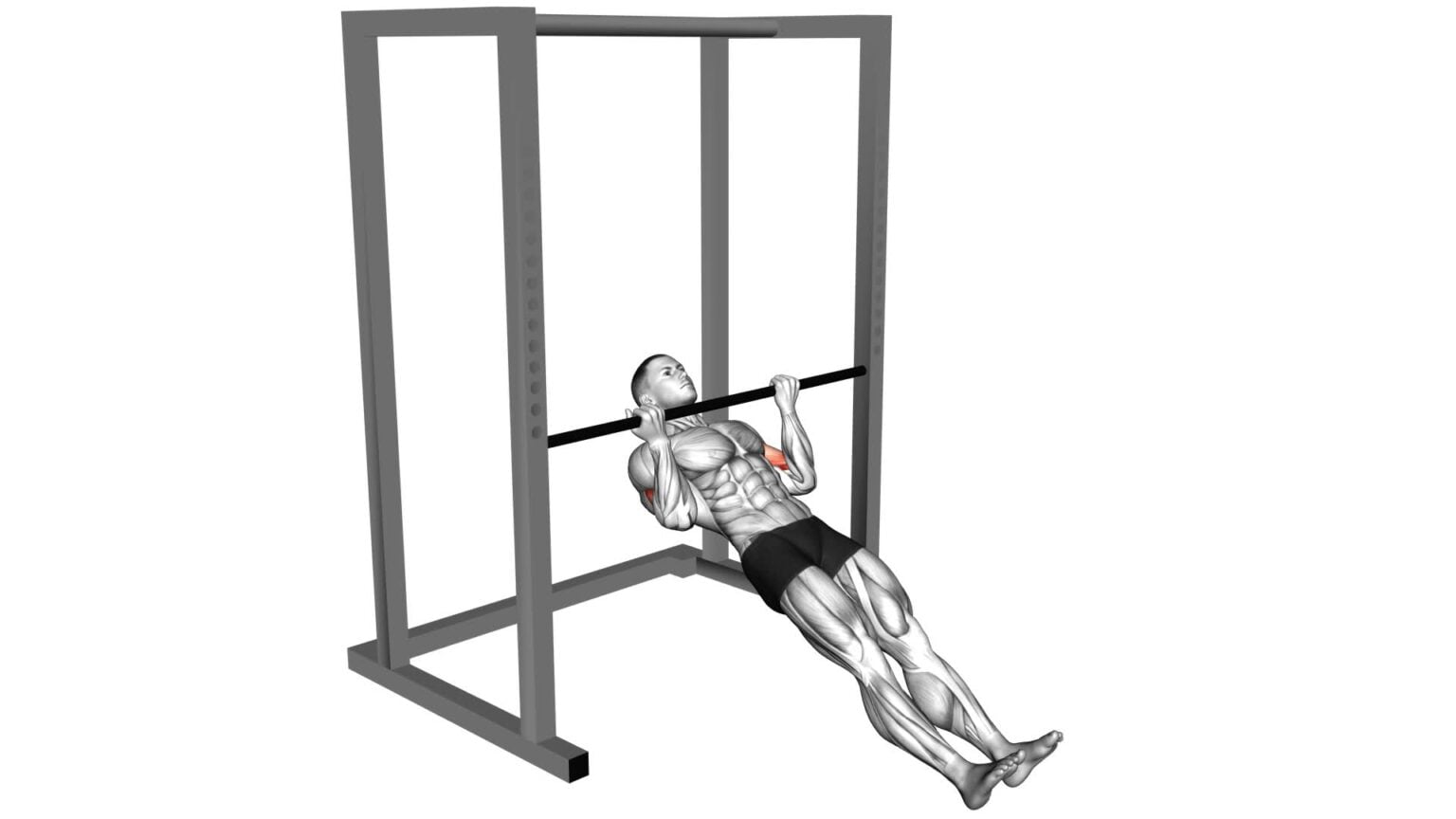 Cable Biceps Curl (sz-bar) - Exercise Guide & Tips