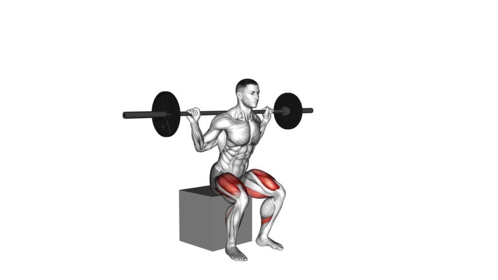 Barbell Box Squat: Ultimate Video Guide & Expert Tips