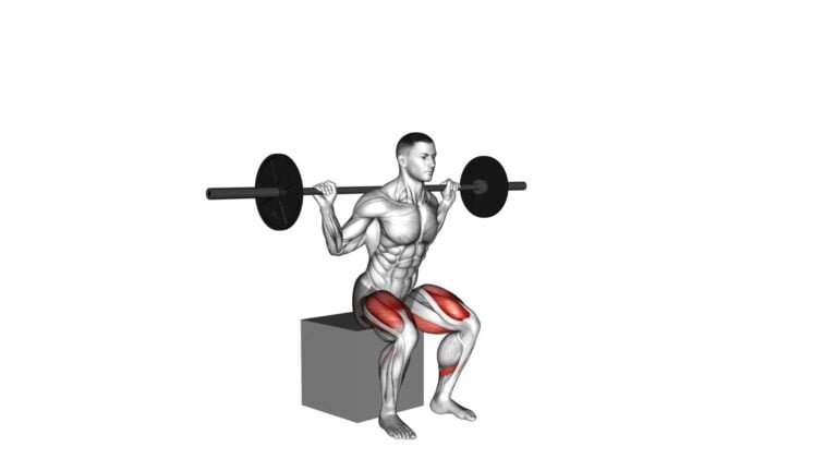 Barbell Box Squat: Ultimate Video Guide & Expert Tips