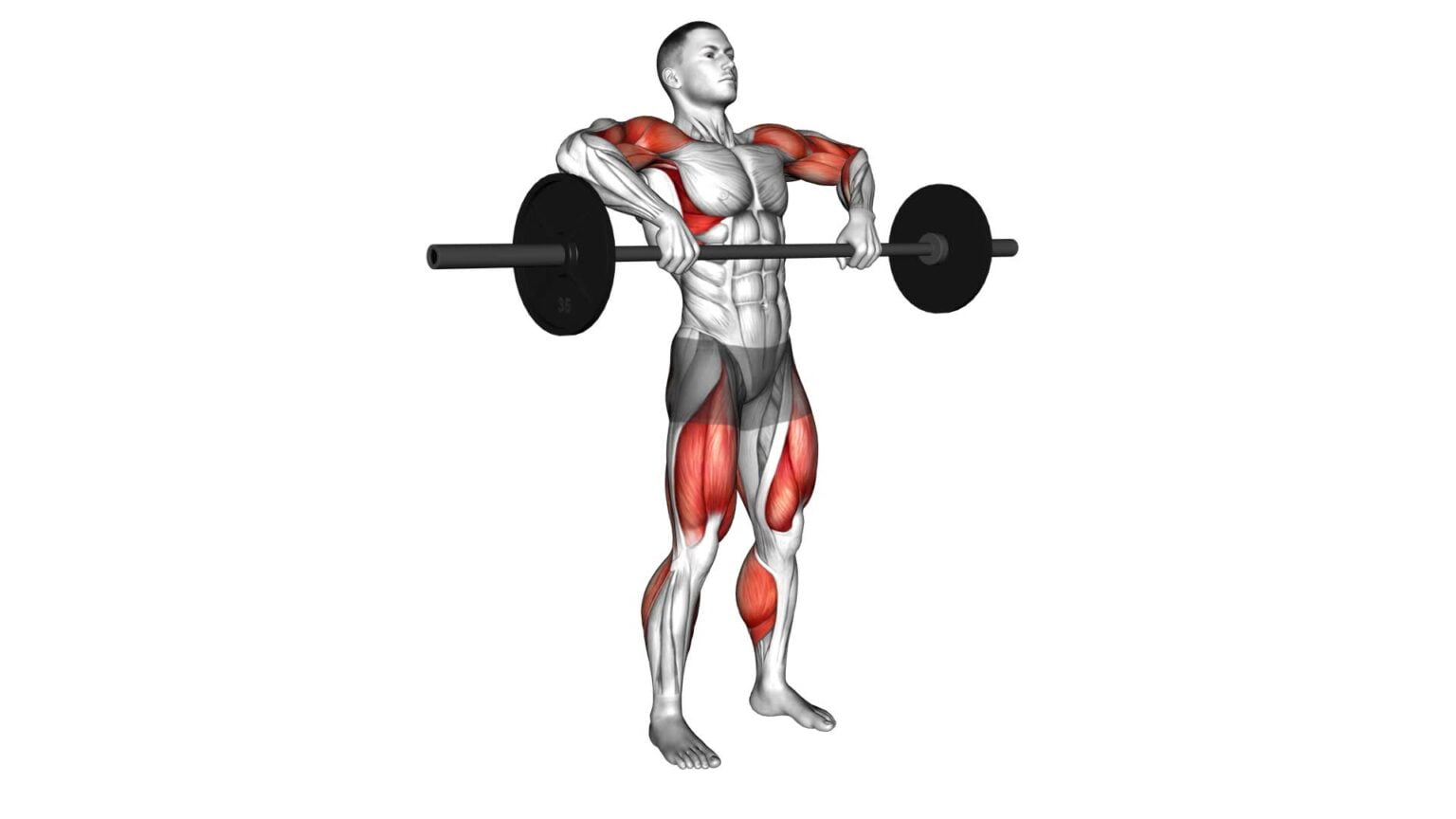 Barbell Clean Pull: Ultimate Exercise Guide & Tips