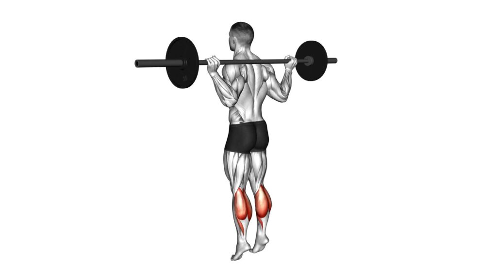 Barbell Floor Calf Raise: Ultimate Exercise Guide & Tips