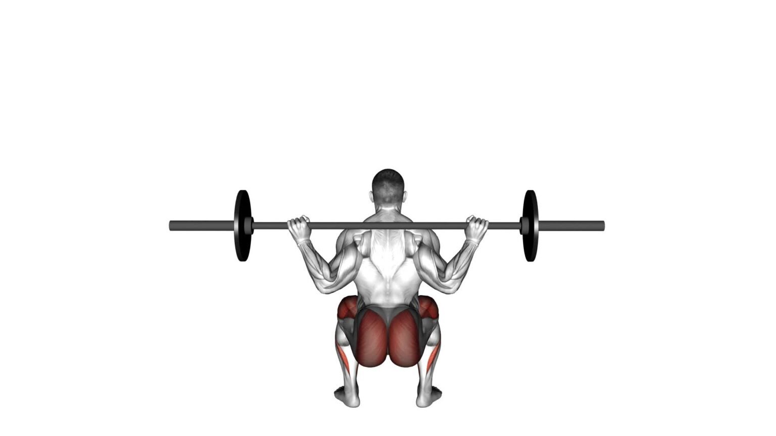 Master The Barbell Full Squat: Back Pov Video Guide & Tips