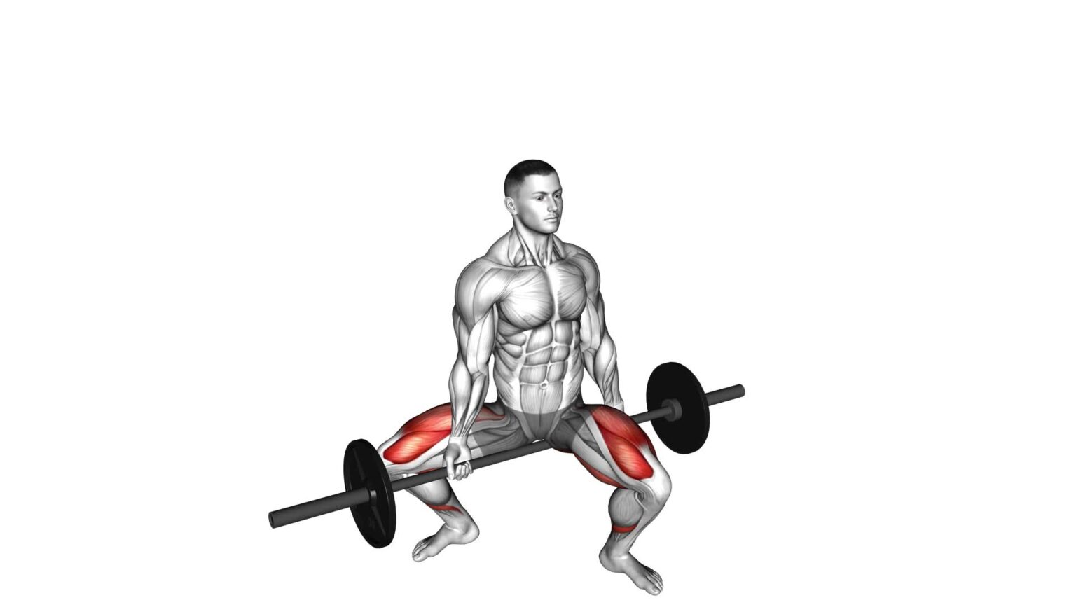Barbell Jefferson Squat: Ultimate Video Guide & Expert Tips