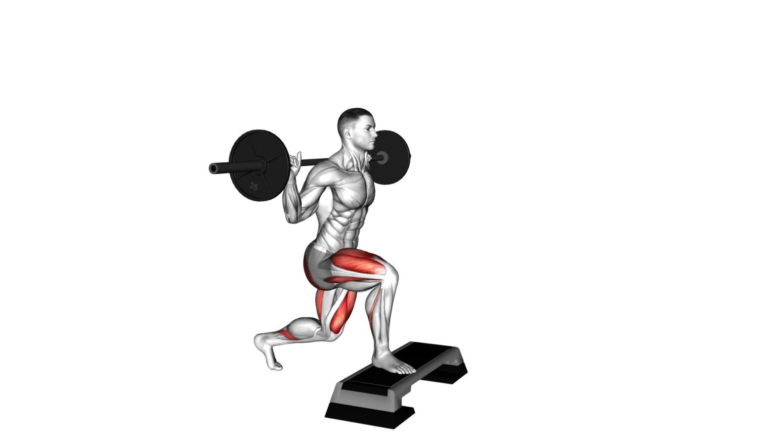 Barbell Rear Lunge (v2) - Video Guide & Tips For Effective Exercise
