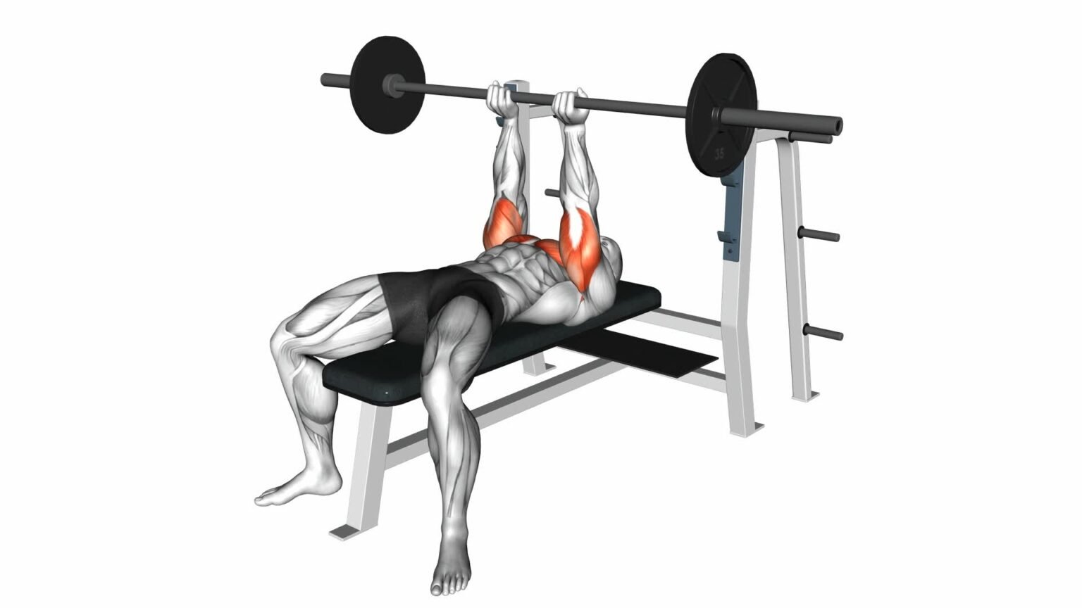 Barbell Reverse Close-grip Bench Press - Video Guide & Tips