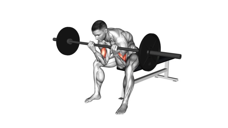 Barbell Seated Close-grip Concentration Curl: Video Guide & Tips