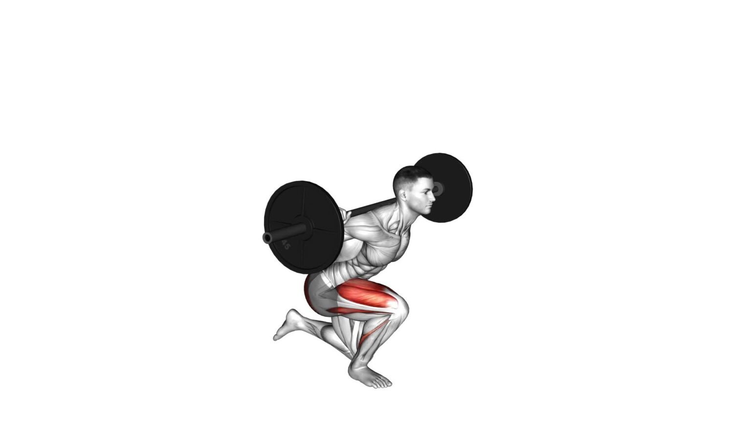Barbell One Leg Squat: Video Guide & Tips