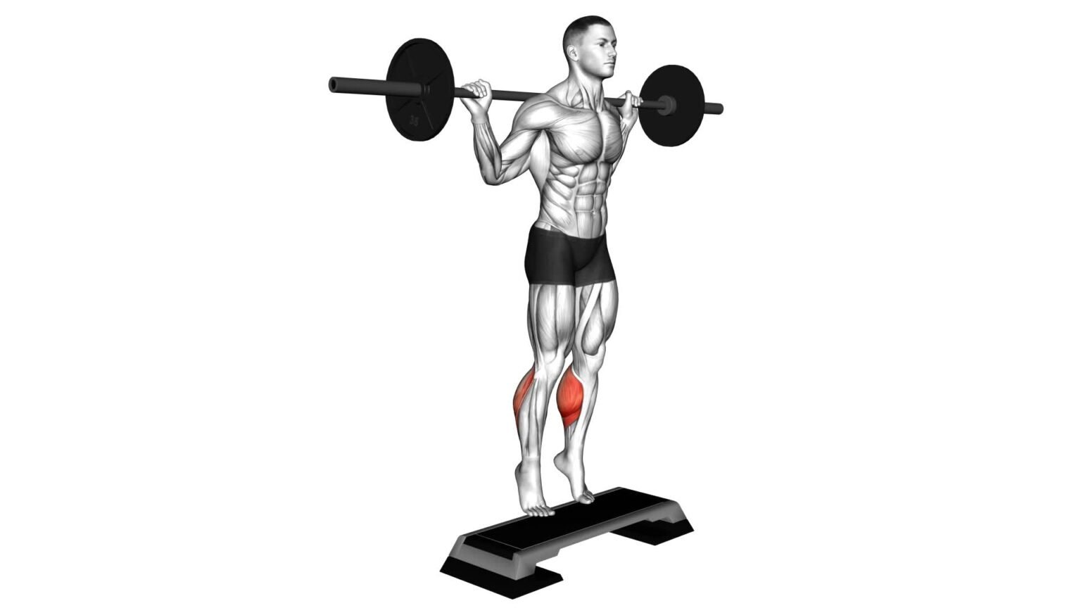 Female Barbell Standing Calf Raise: Video Guide & Tips