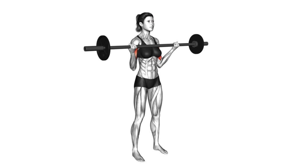 Barbell Standing Wide Grip Curl (Female) - Exercise Guide & Tips