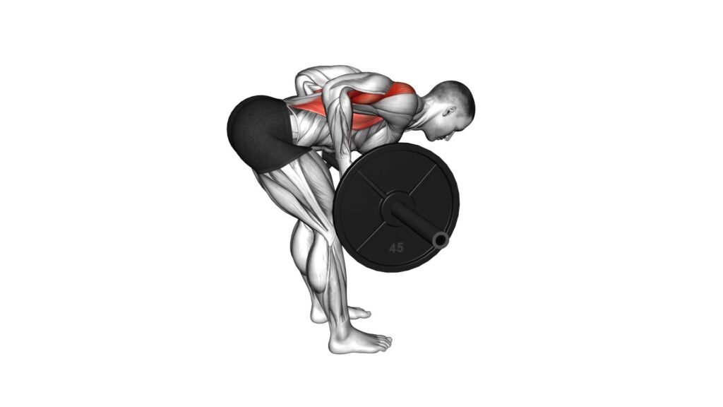 Barbell Underhand Bent Over Row Ultimate Video Guide And Tips
