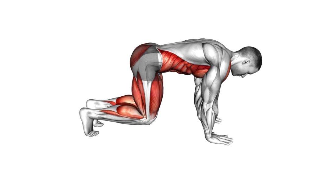 Master The Bear Plank: Ultimate Video Guide & Expert Tips