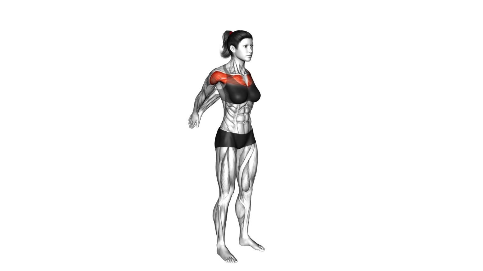Back Clap Exercise Guide & Tips For Women - Boost Your Fitness With ...