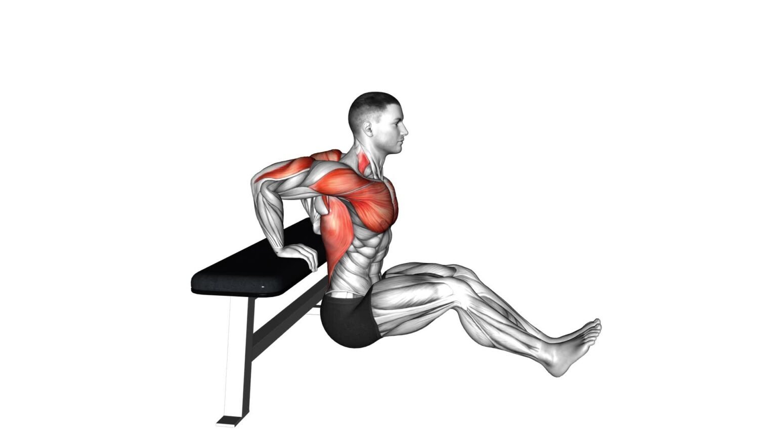 Floor Single Leg Dip: Ultimate Exercise Guide & Tips