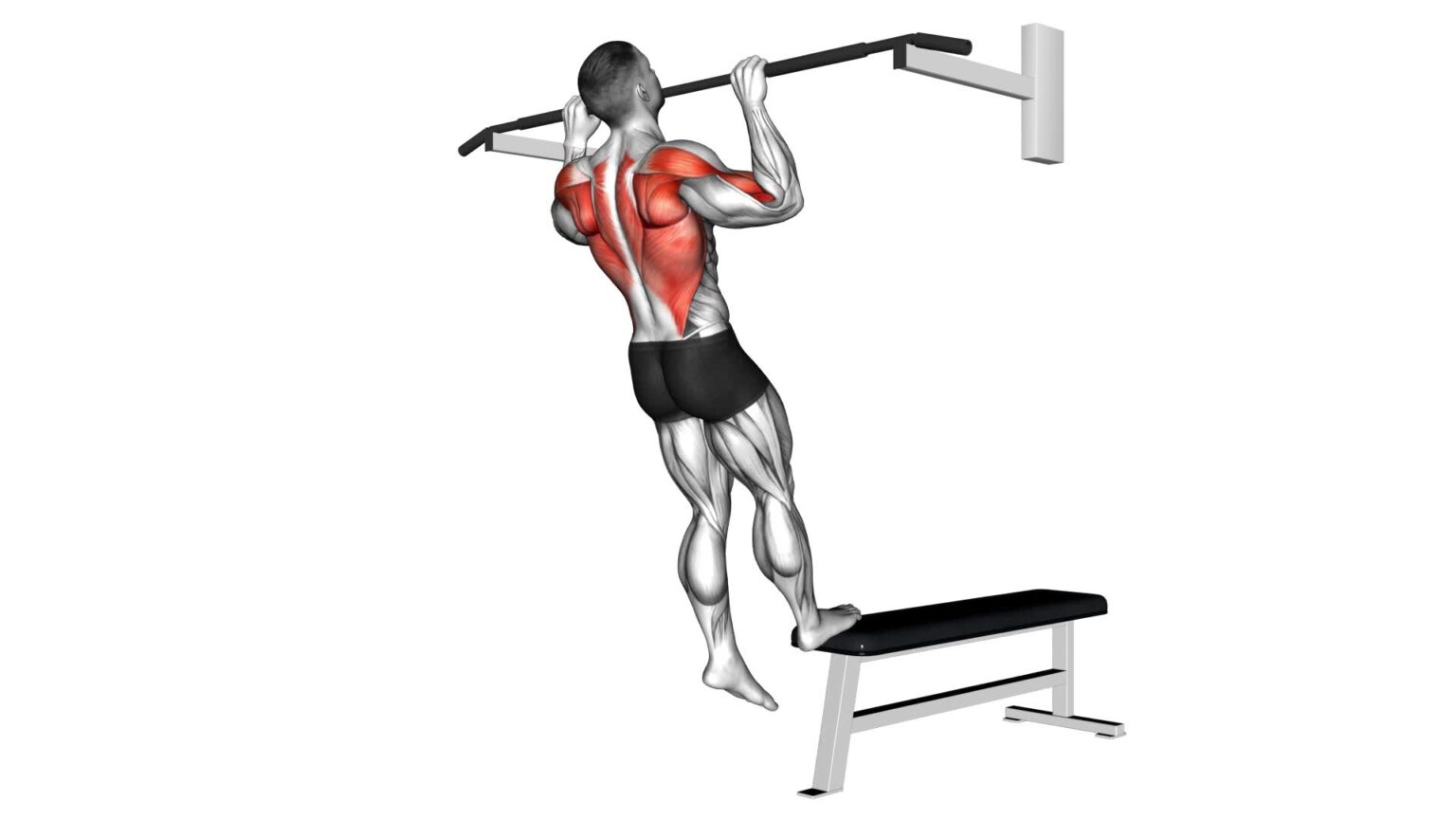 Bench Pull-ups: Ultimate Guide & Tips - Video Demo