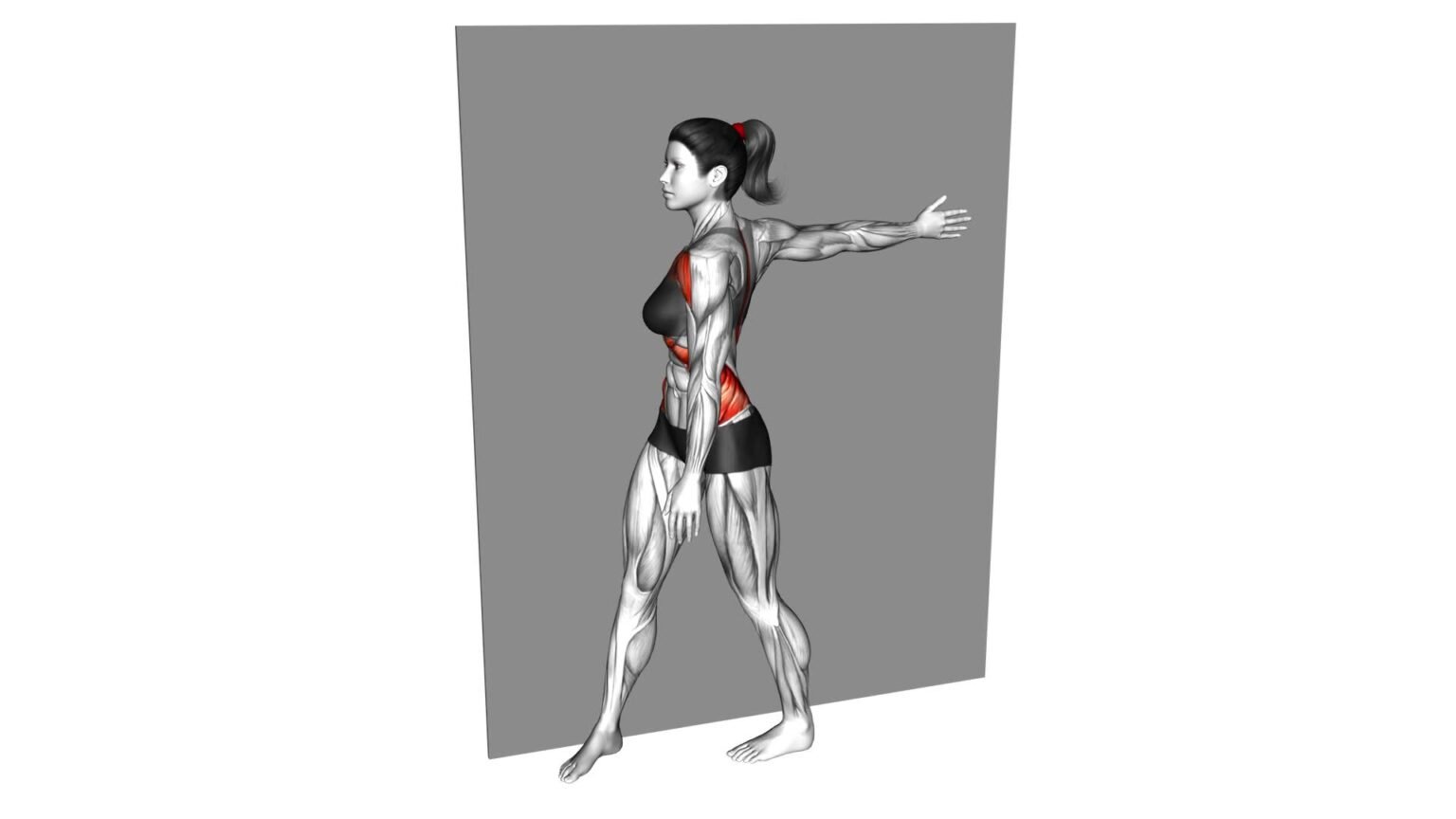 Exercises for Female - Workout Guru